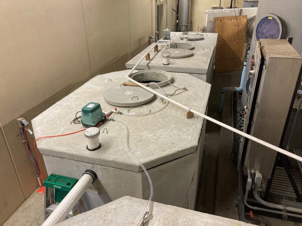 Meet the Winners of Our Student Pilot Project – The Water Council